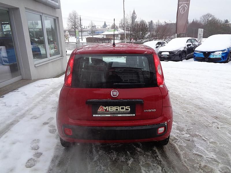 Neu 2025 Fiat Panda 69 PS – 4284 TRAGWEIN (Händler) – € 15.990 (Etwas ...