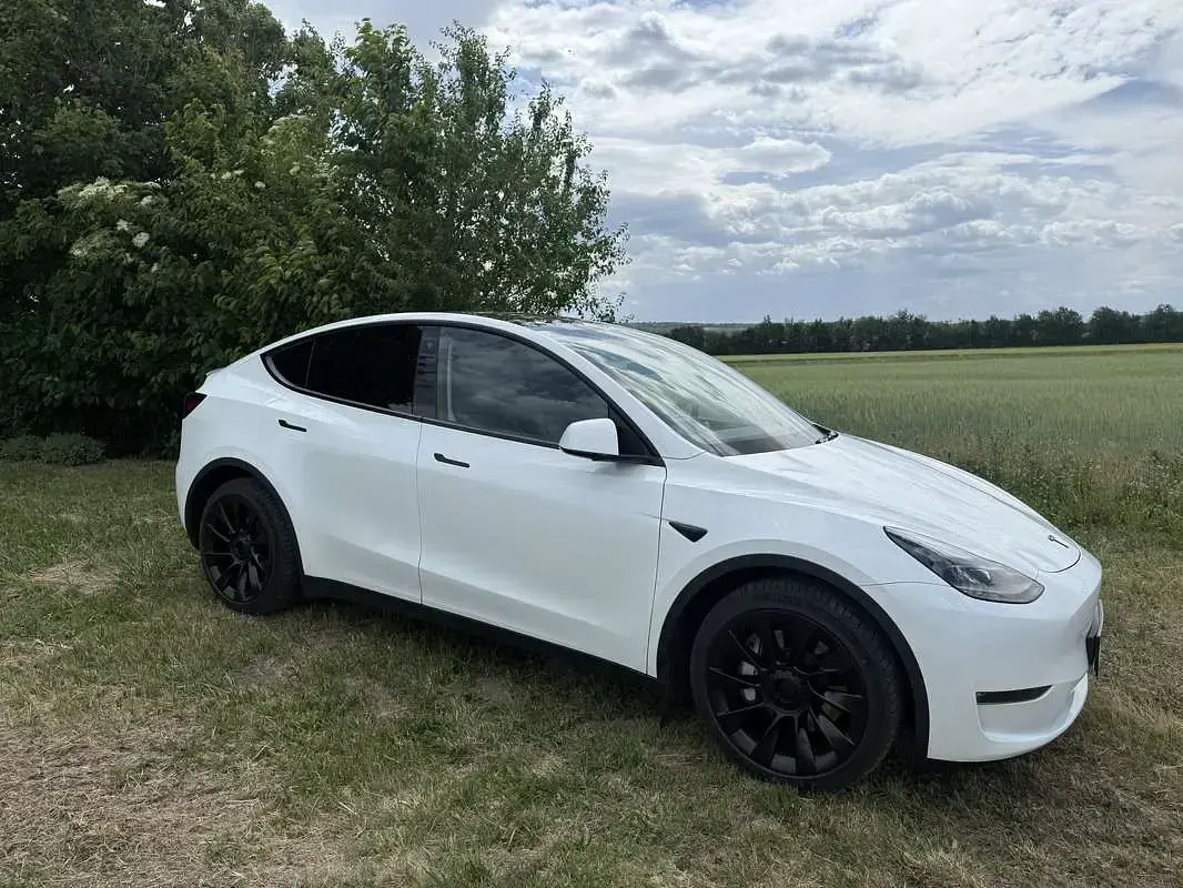 Gebraucht Tesla Model Y Long Range AWD 514 PS (2024) in ...