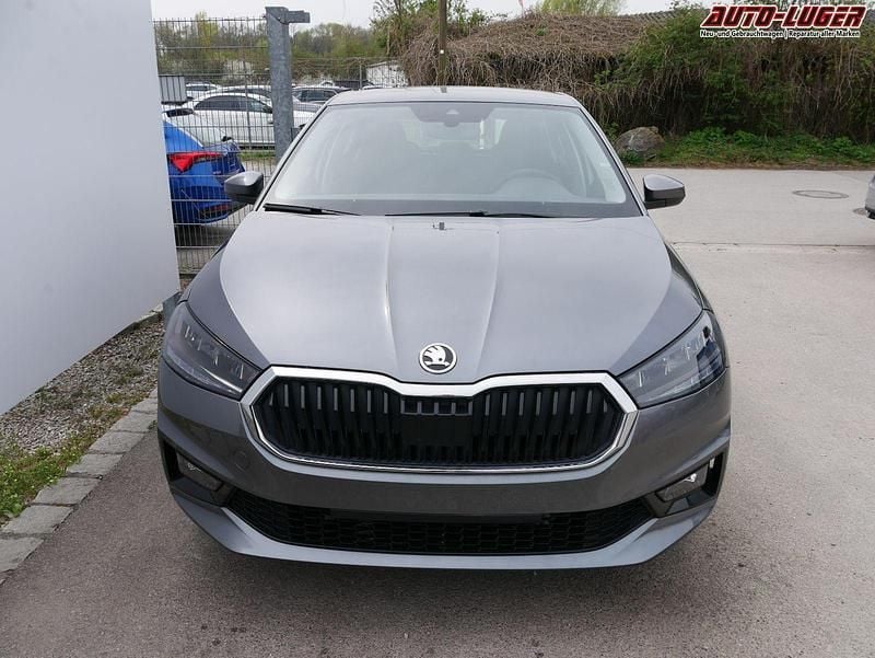 Wunderschne Skoda Fabia Grau Ebenbild