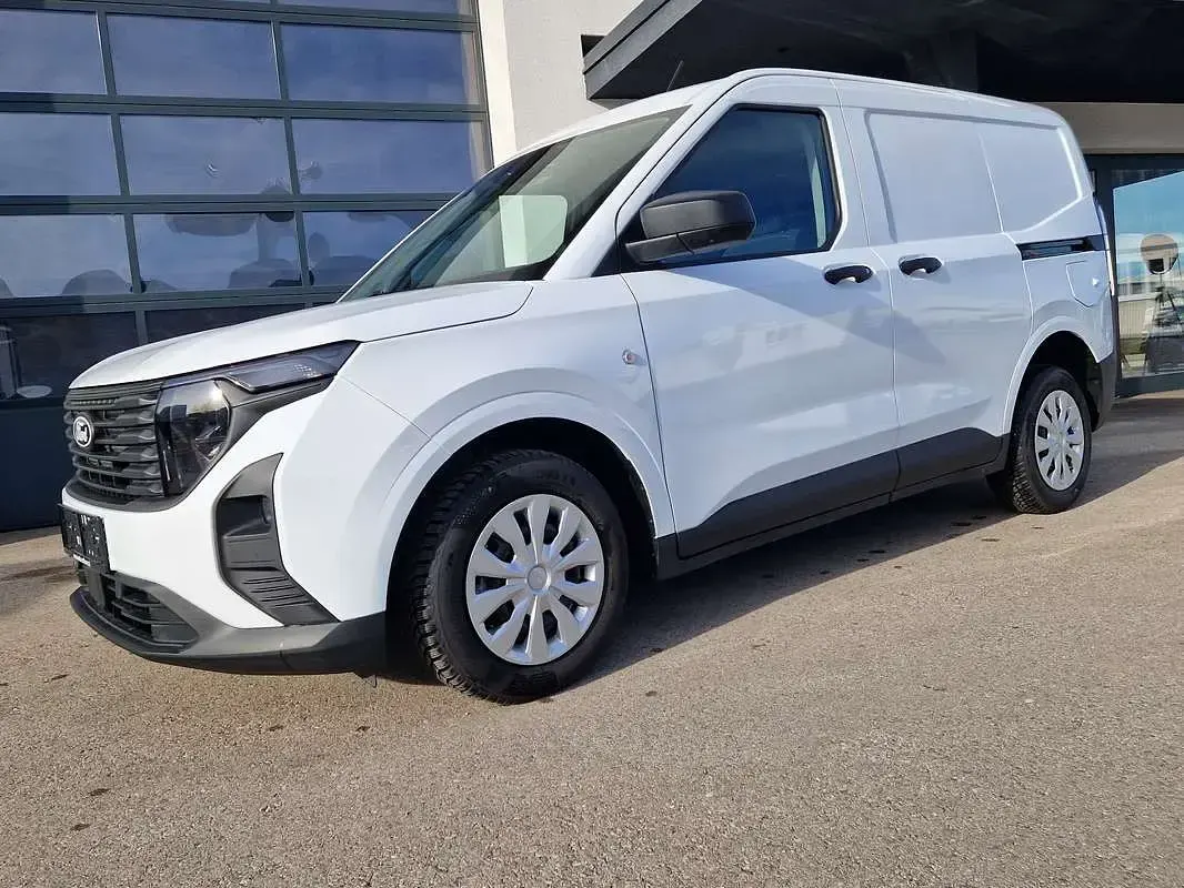 Gebraucht Ford Transit 101 PS (2025) in Marchtrenk, AT - € 17.990 ...