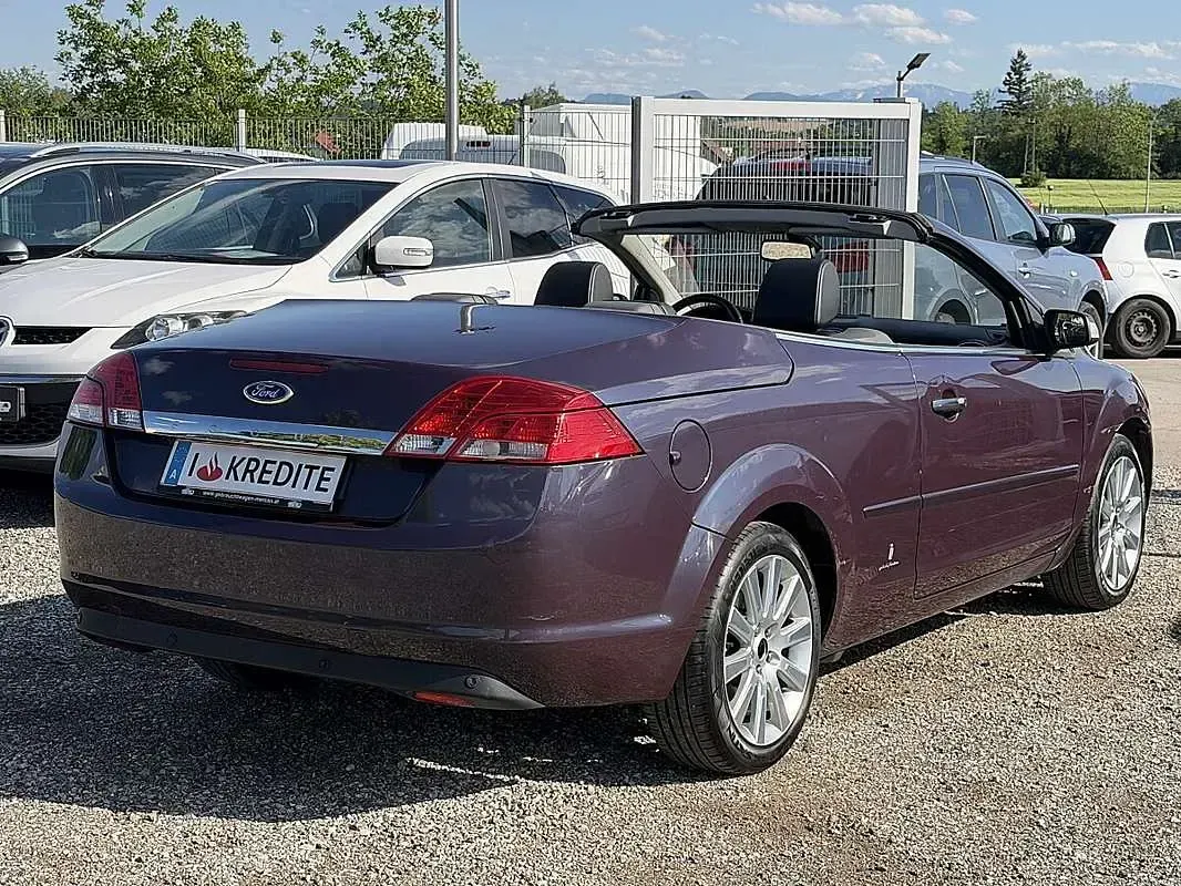 Gebraucht Ford Focus Cabriolet Titanium 145 PS (2010) in Marchtrenk, AT ...