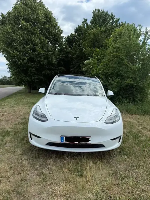 Gebraucht Tesla Model Y Long Range AWD 514 PS (2024) in ...