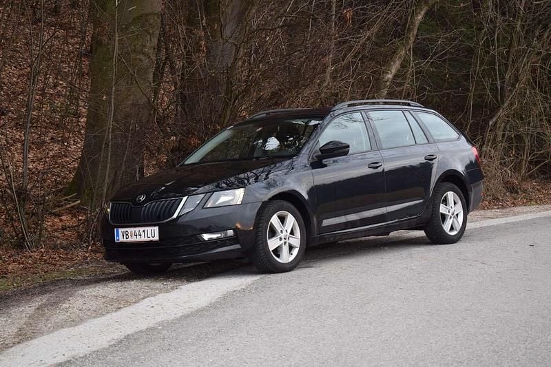 Gebraucht 2019 Skoda Octavia Ambition 116 PS Kombi – 4844 regau, AT ...