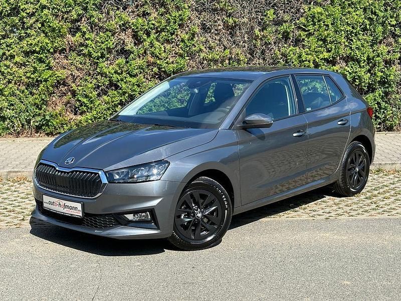 Wunderschne Skoda Fabia Grau Ebenbild