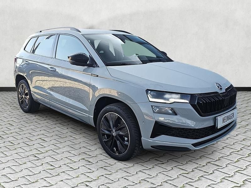 Wunderbar Skoda Karoq Stahlgrau Bild