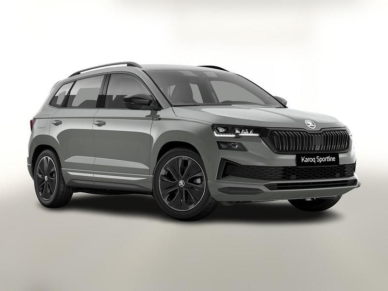 Wunderbar Skoda Karoq Stahlgrau Bild