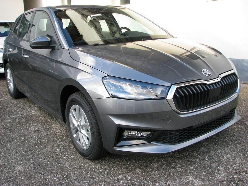 Wunderschne Skoda Fabia Grau Ebenbild