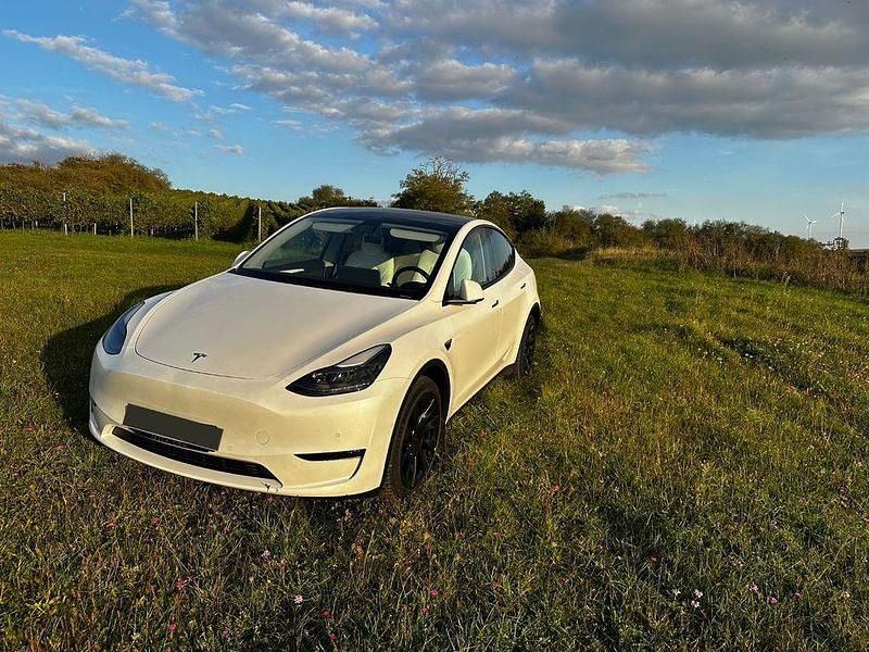 Schne Tesla Gebraucht Preis Bilder