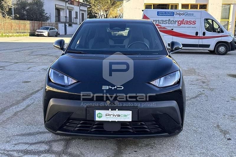 Usata 2025 BYD Dolphin Surf Comfort 82 CV Due volumi – 65015 ...