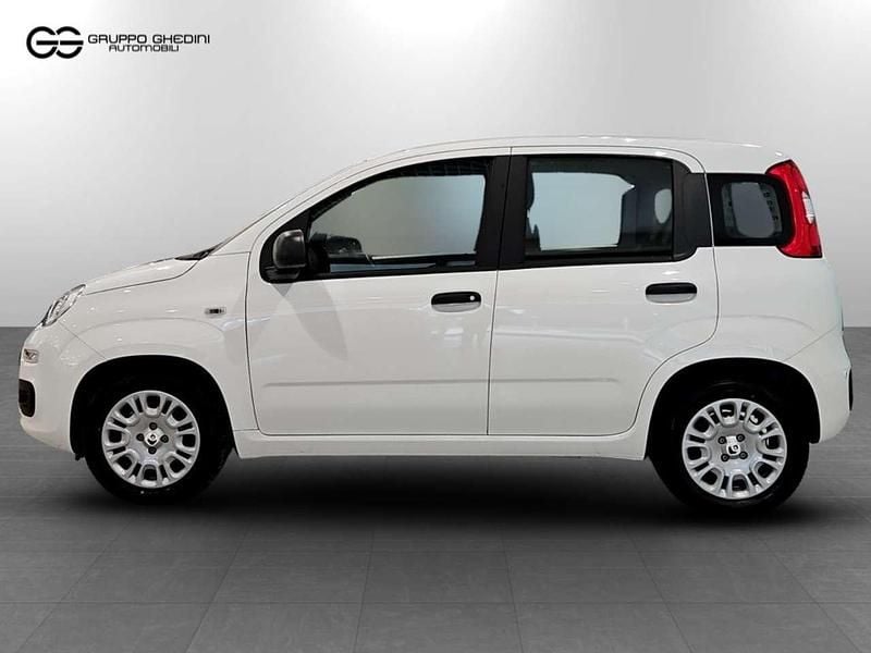 Nuova 2025 Fiat Panda Icon 65 CV – 40138 Bologna - Bo (Rivenditore ...
