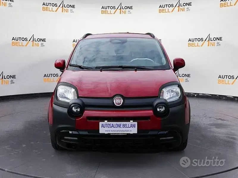 Usata Fiat Panda Cross Cross 69 CV (2025) in FELTRE (BL) - 14.790 ...