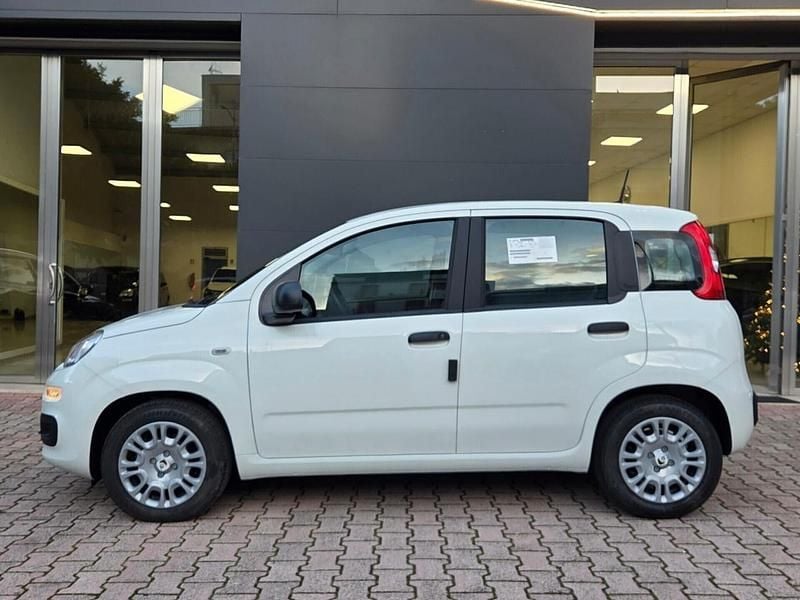 Nuova 2025 Fiat Panda 70 CV Due volumi – Sicilia (Rivenditore) – 12.500 ...