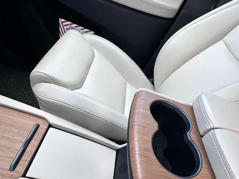 Usata 2020 Tesla Model X 525 CV SUV – 32020 LIVINALLONGO DEL COL DI ...