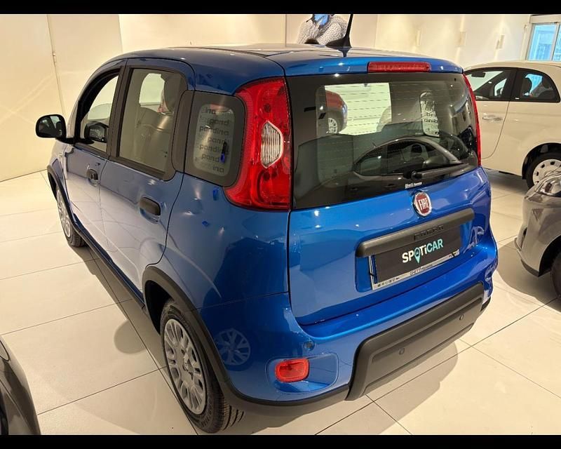 Usata 2024 Fiat Panda S 69 CV Due volumi – 48124 ravenna (Rivenditore ...