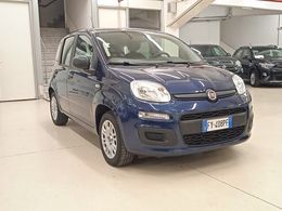 Fiat Panda (GPL) usata • 806 Auto usate in vendita