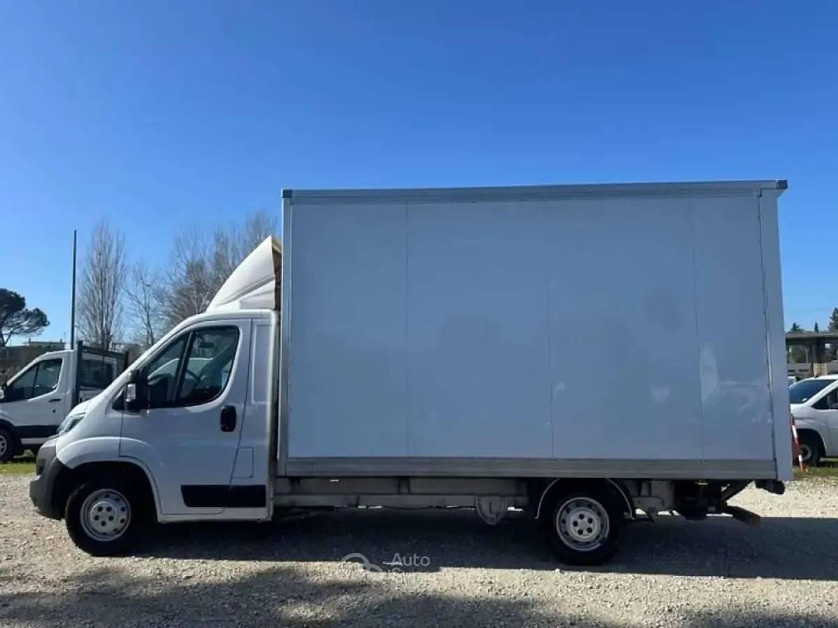 Usata Opel Movano 140 CV (2024) in Roma - 21.721 € | AutoUncle