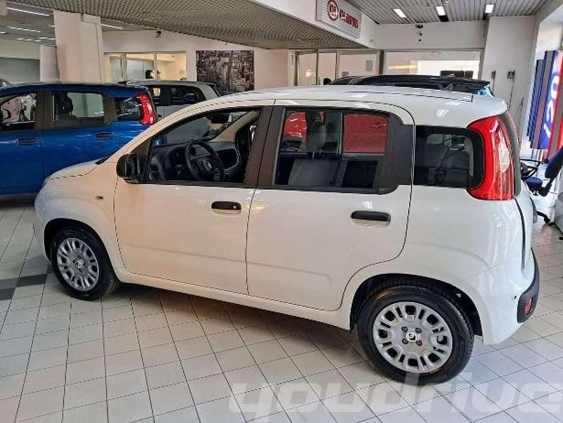 Nuova 2025 Fiat Panda Pop 69 CV Tre volumi – 80035 Nola - Napoli - Na ...