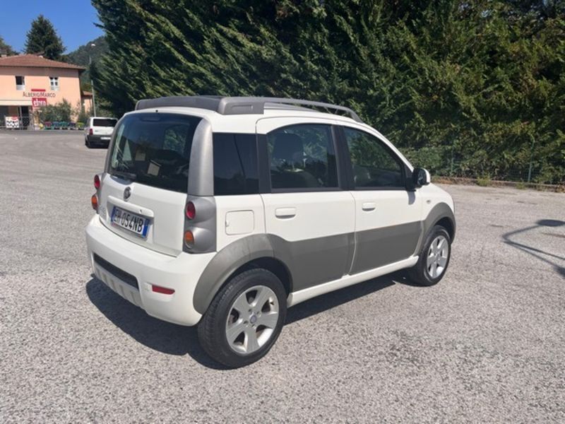Fiat Panda Cross usata in Toscana (110) - AutoUncle