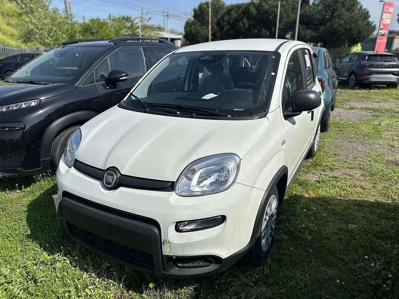 Nuova 2025 Fiat Panda Icon 69 CV Tre volumi – 00179 Roma (Rivenditore ...