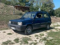 Usata 1996 Fiat Panda 4x4 54 CV Due volumi – Umbria (Privato) – 5500 ...
