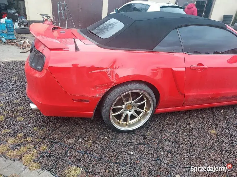 Używany Ford Mustang GT (2014) w Rososza - 53 000 zł | AutoUncle