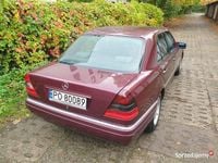 Używany 1997 Mercedes C230 – Opolskie (Prywatny) – 29 000 zł (Rzadki ...
