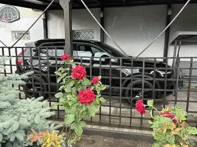Volvo XC40 second-hand de vânzare (652) - AutoUncle